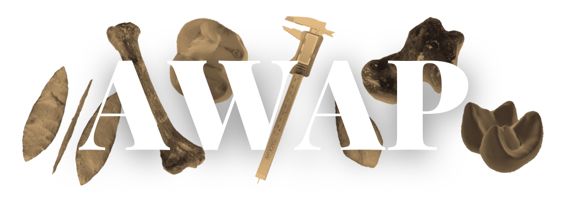 who we are ? - Association for early-career Women Archaeologists and ...