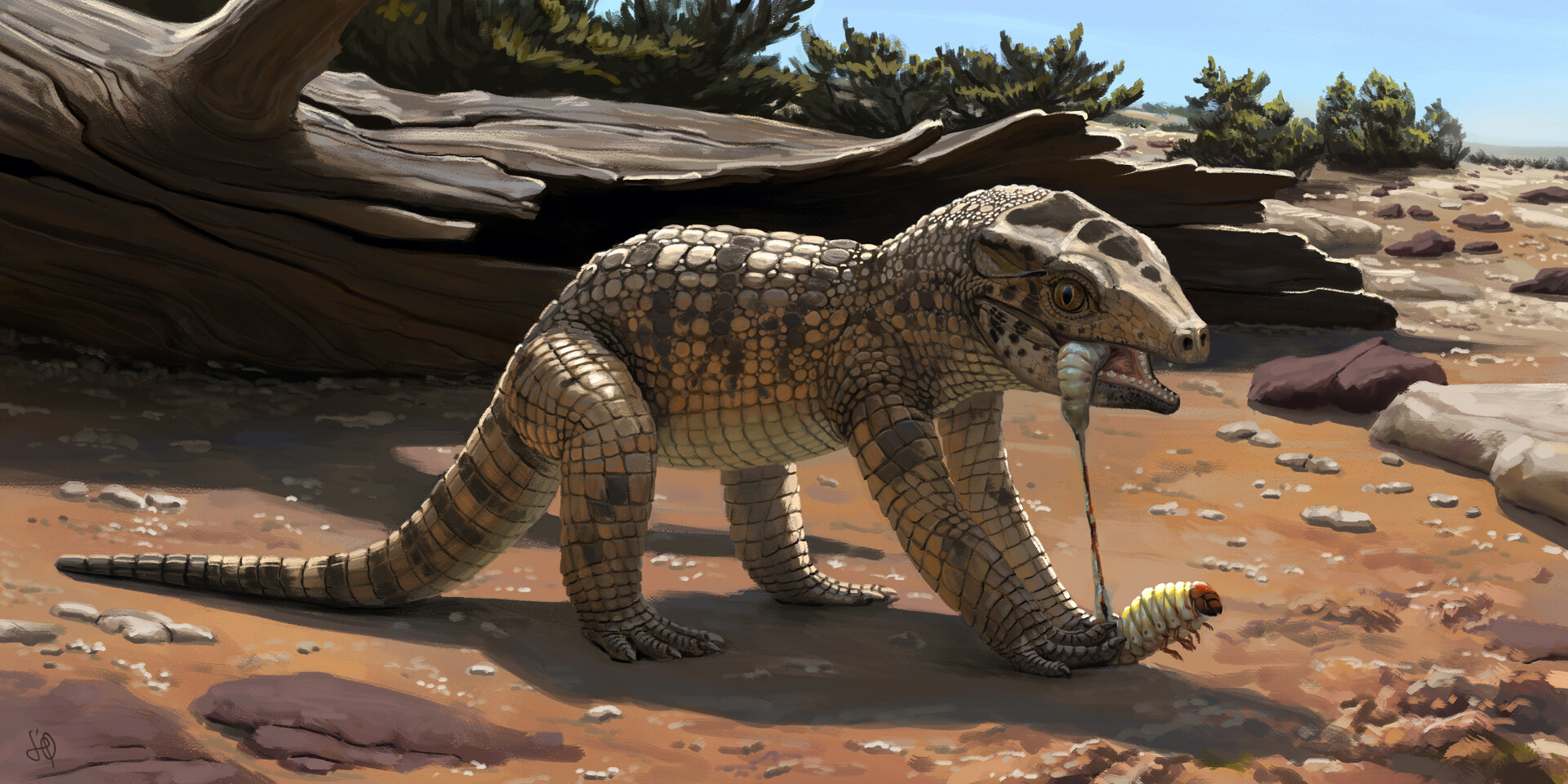 How to prepare your proposal for the Virtual Paleoart Gallery ...