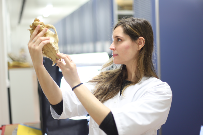 home - Association for early-career Women Archaeologists and ...