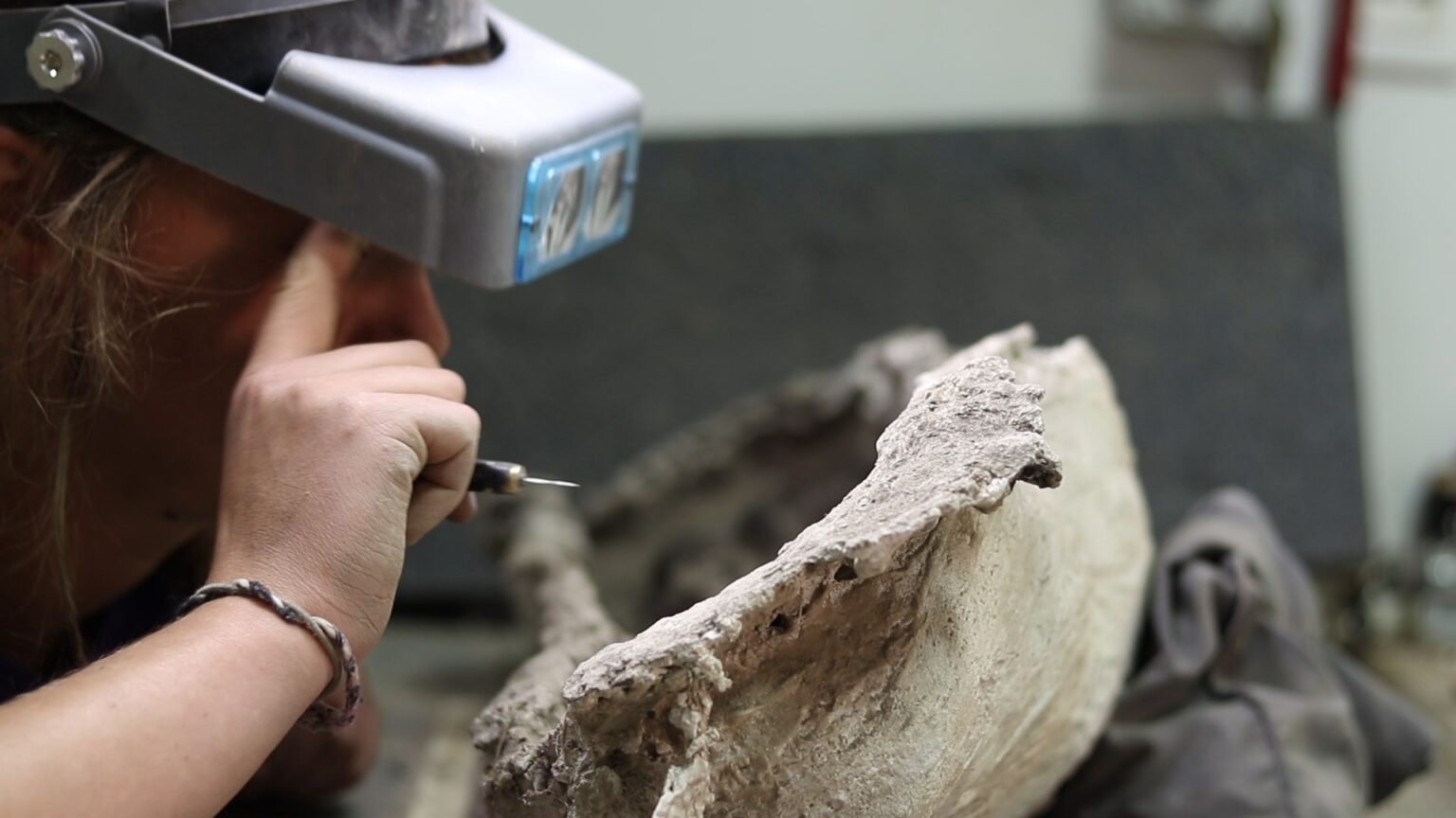 home - Association for early-career Women Archaeologists and ...